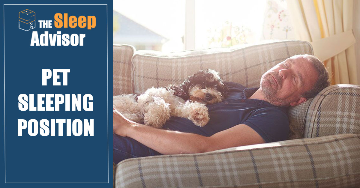 What Your Pet’s Sleeping Position Says About Them - Sleep Advisor