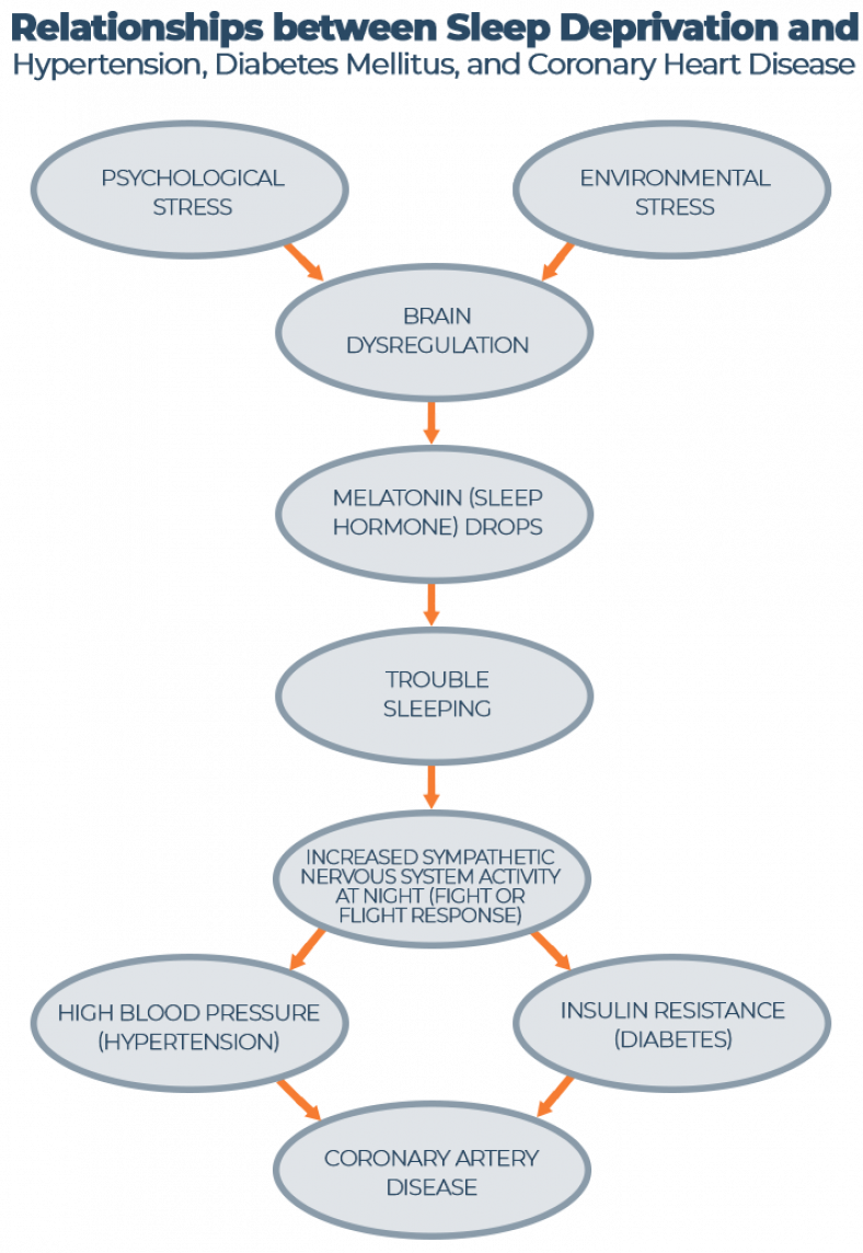 How to Improve Cardiovascular Health with Better Rest - Sleep Advisor