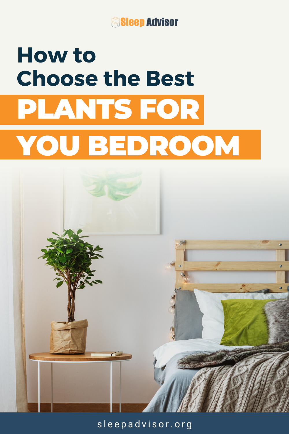 Best Sleep Inducing Plants for your Bedroom | Sleep Advisor