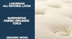 Eco Terra Bed Review (Expert Tested) - Sleep Advisor