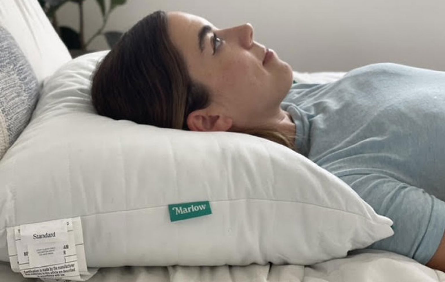 10 Best Soft Pillows for 2024 - Sleep Advisor