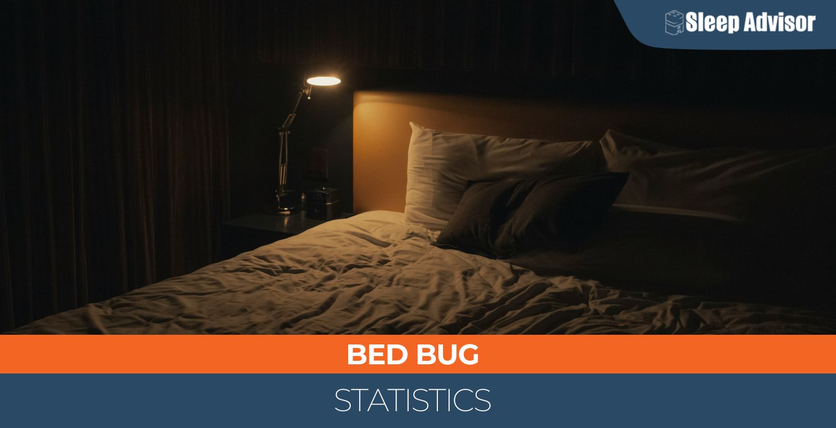 Bed Bug Statistics - Sleep Advisor